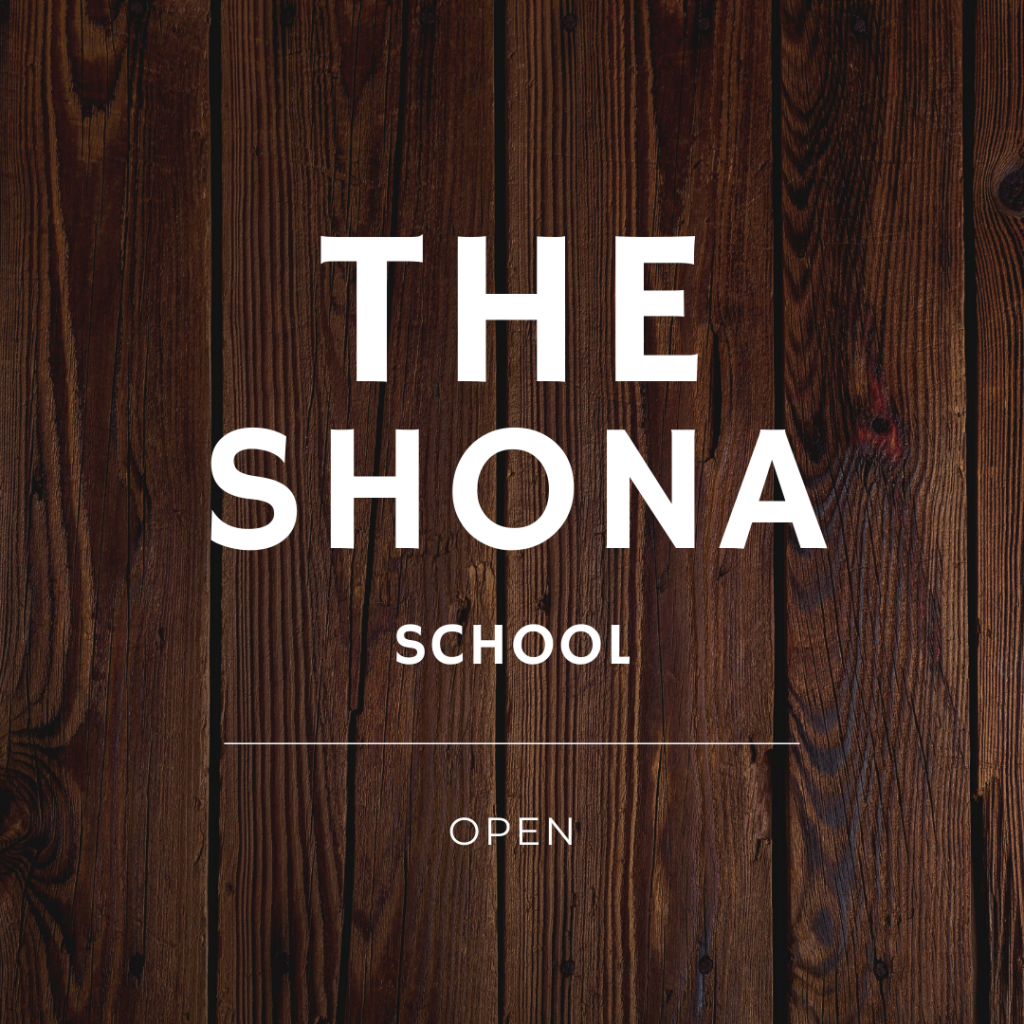 Shona For Beginners (A1-A2) 10 lessons Package – Shona Language School ...